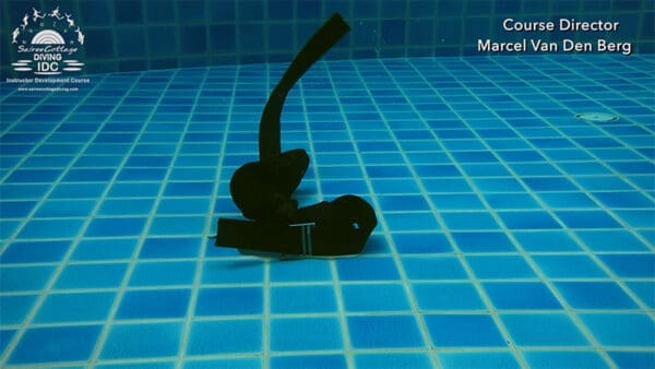 Emergency Weight Belt Drop: During Confined Water • IDC Course